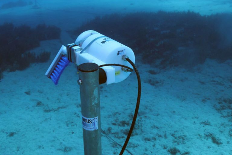 Blutopia Marine Park – NOUS